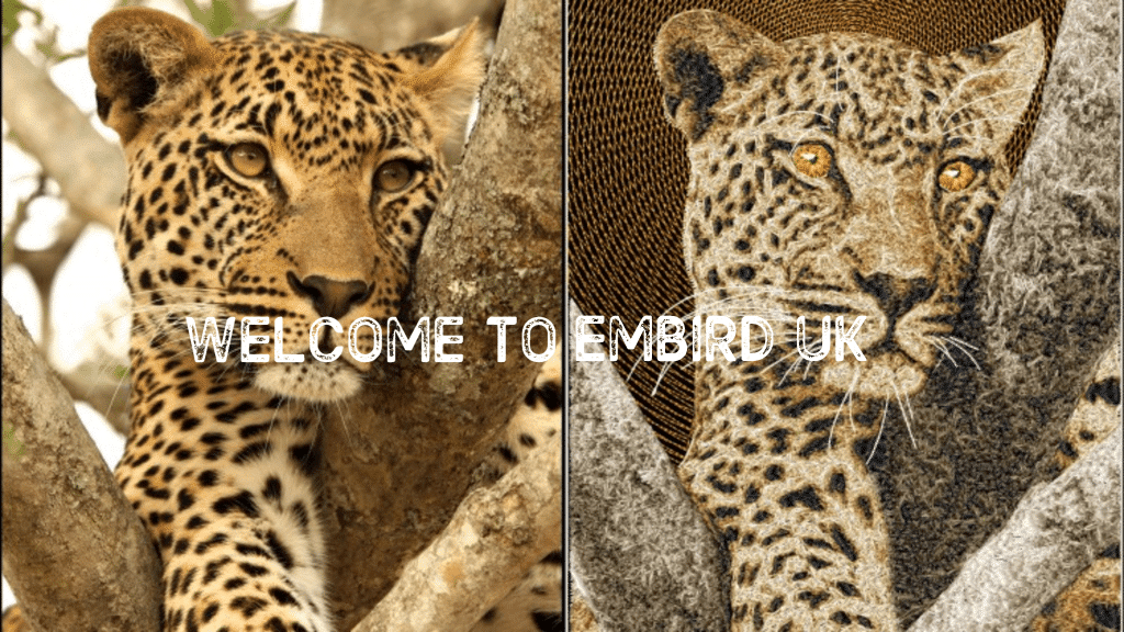 Embird UK - Embird Embroidery Software
